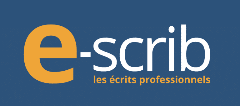 Création du logotype e-scrib et de sa charte logo | AntheDesign