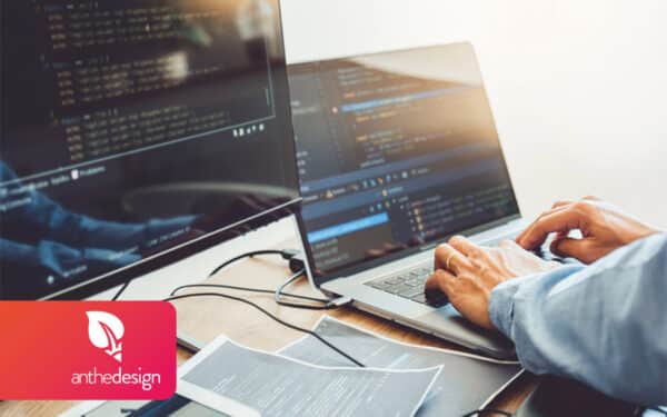Devenir développeur web : études et compétences